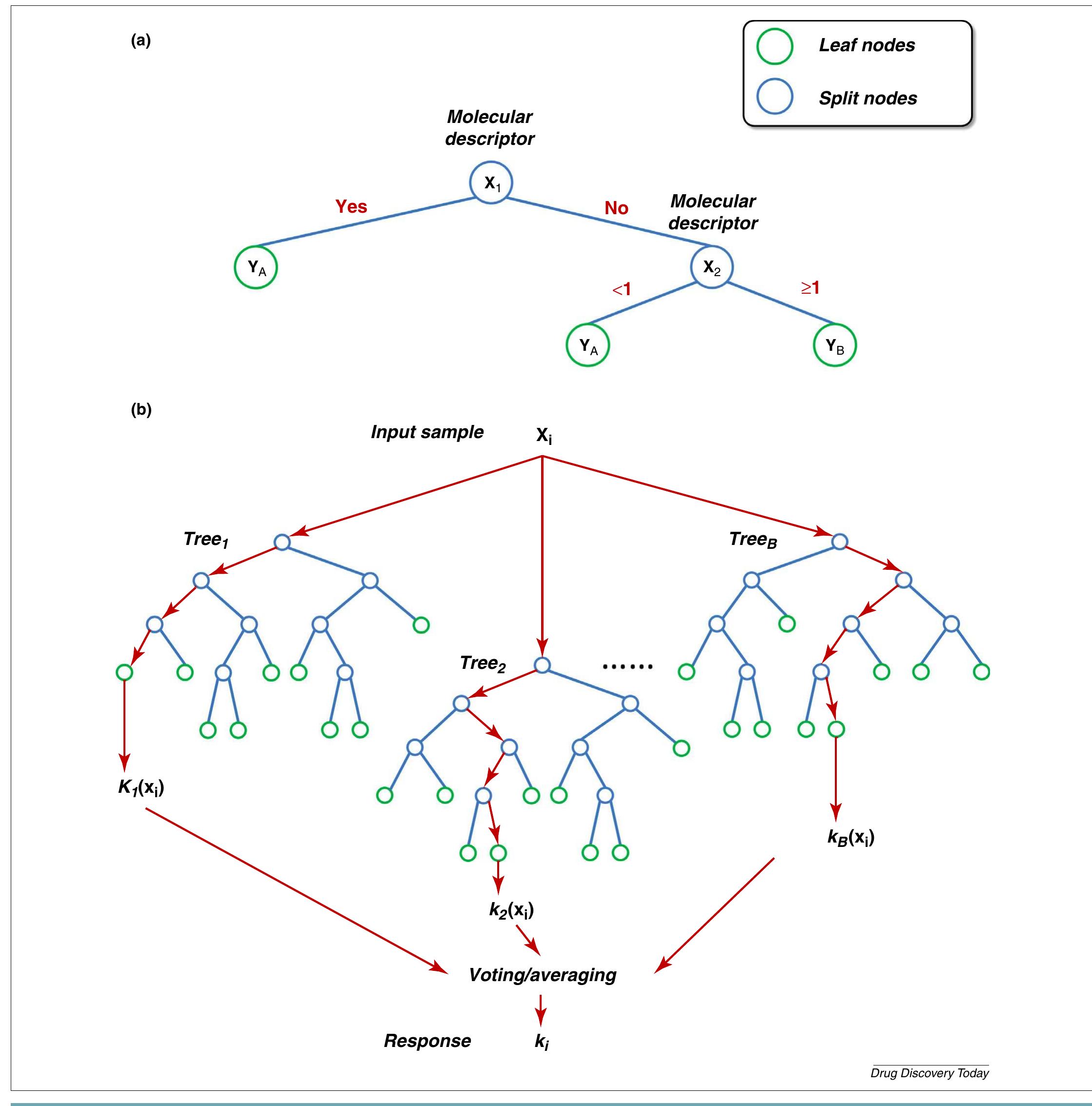 Decision tree. (a) the diagram displays a 2d structure with