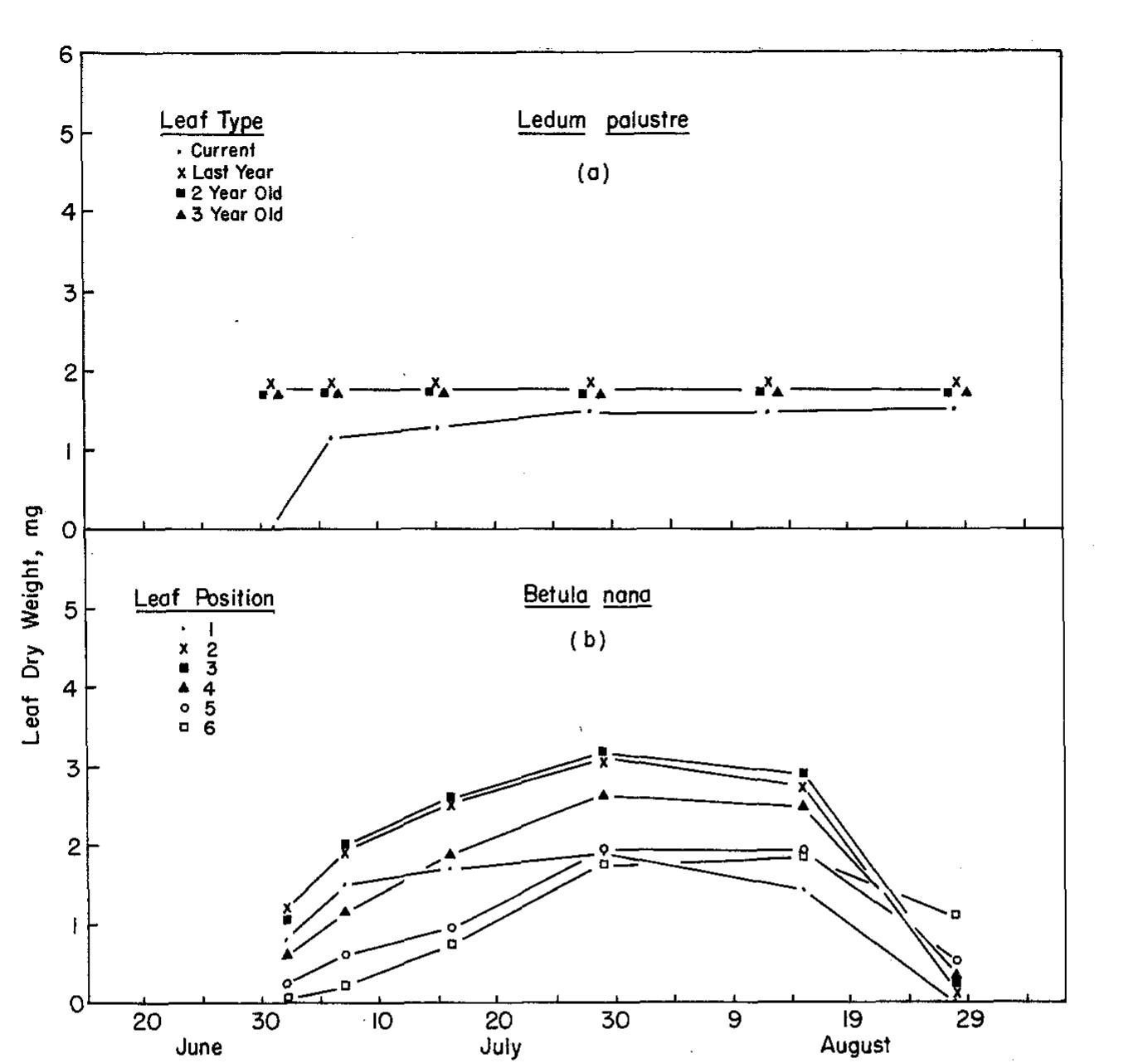 Allocation, leaf growth, and photosynthesis in tundra plants