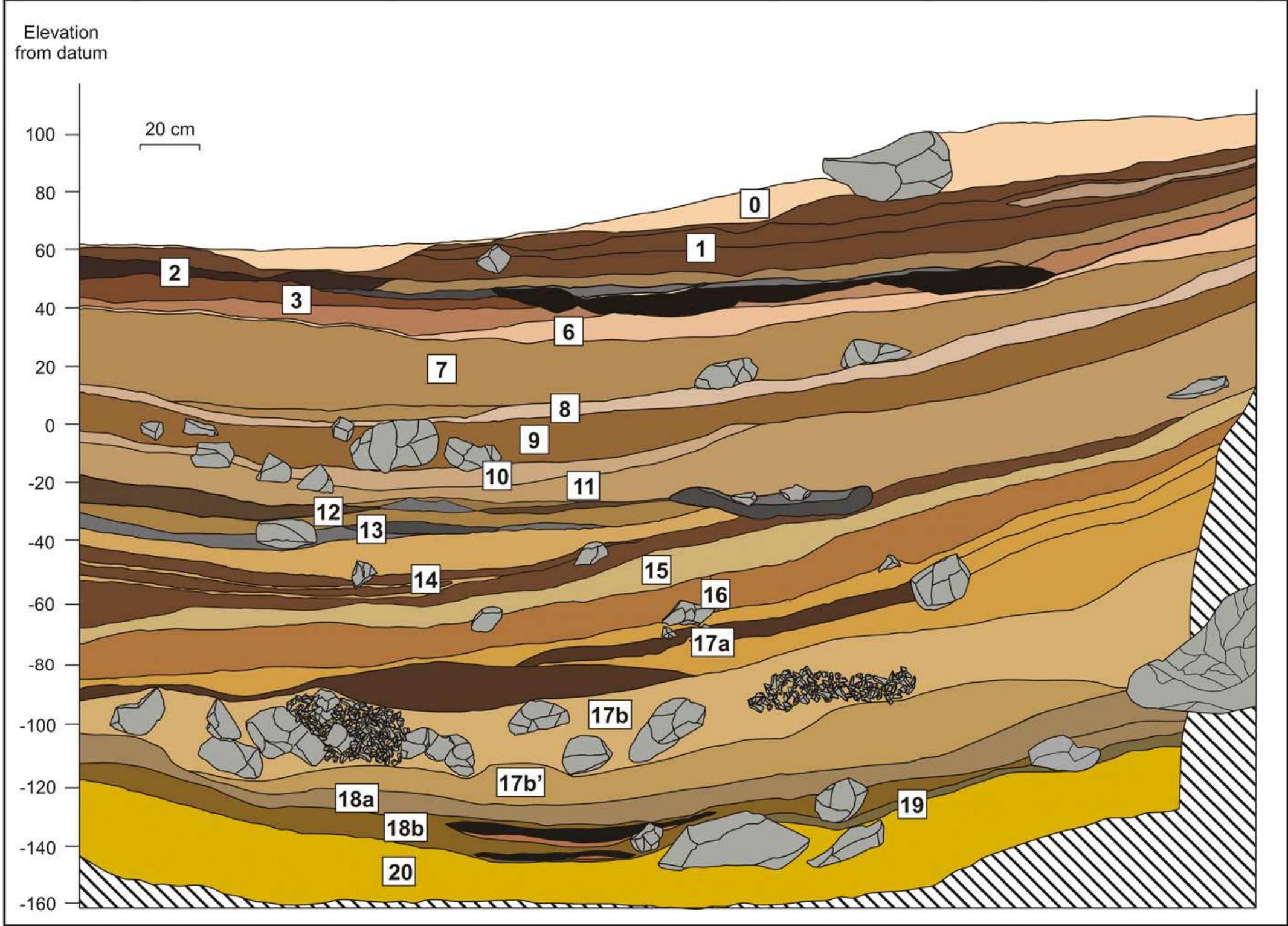 East-facing stratigraphic profile along w14 grid line in
