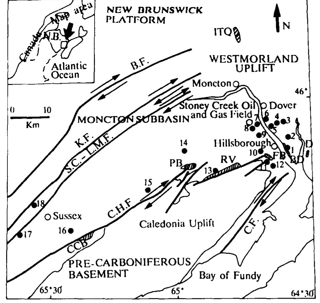 Location map of the studied wells and outcrops in the