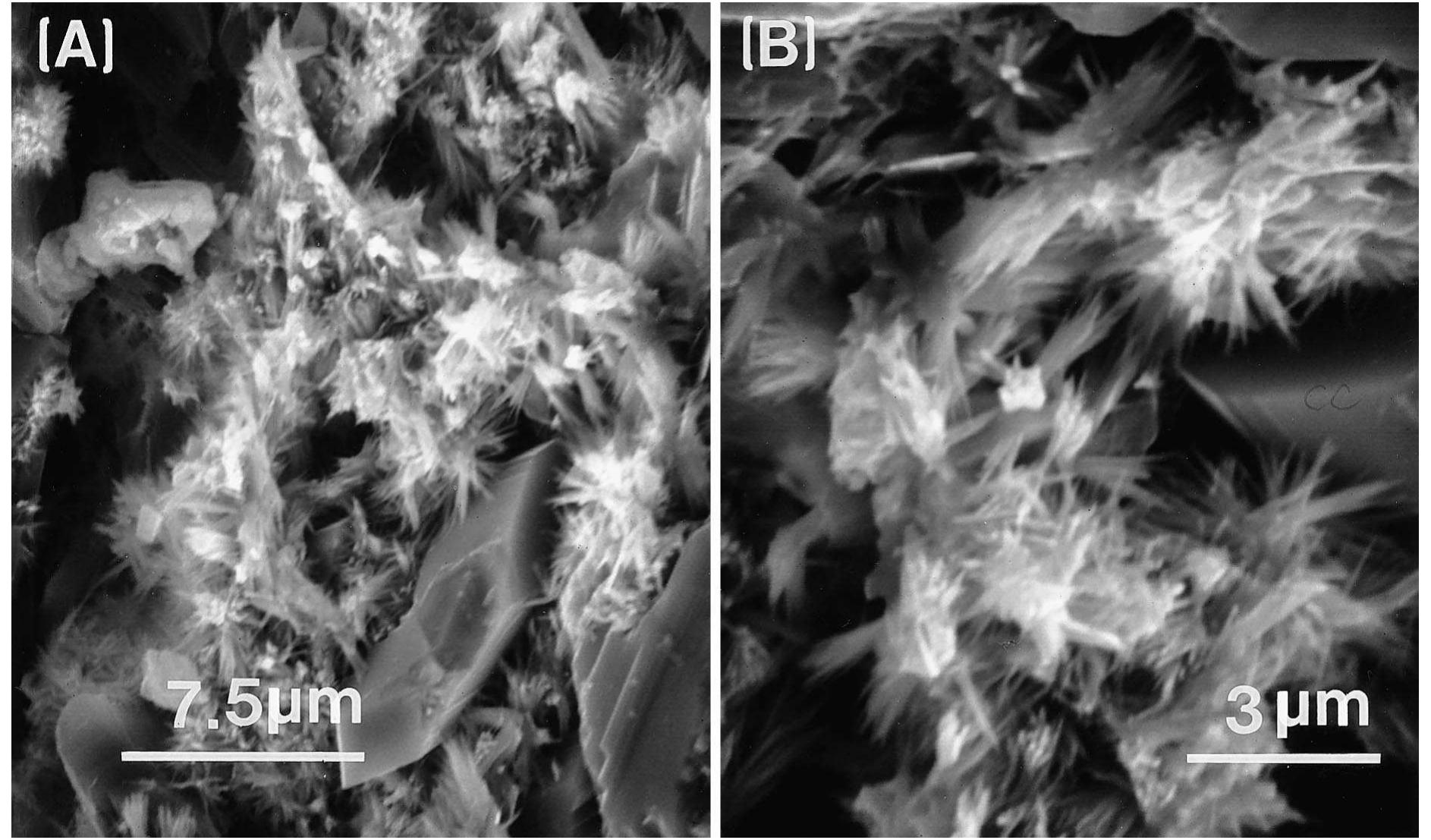 (a) and (b) electron microscope images of clusters of