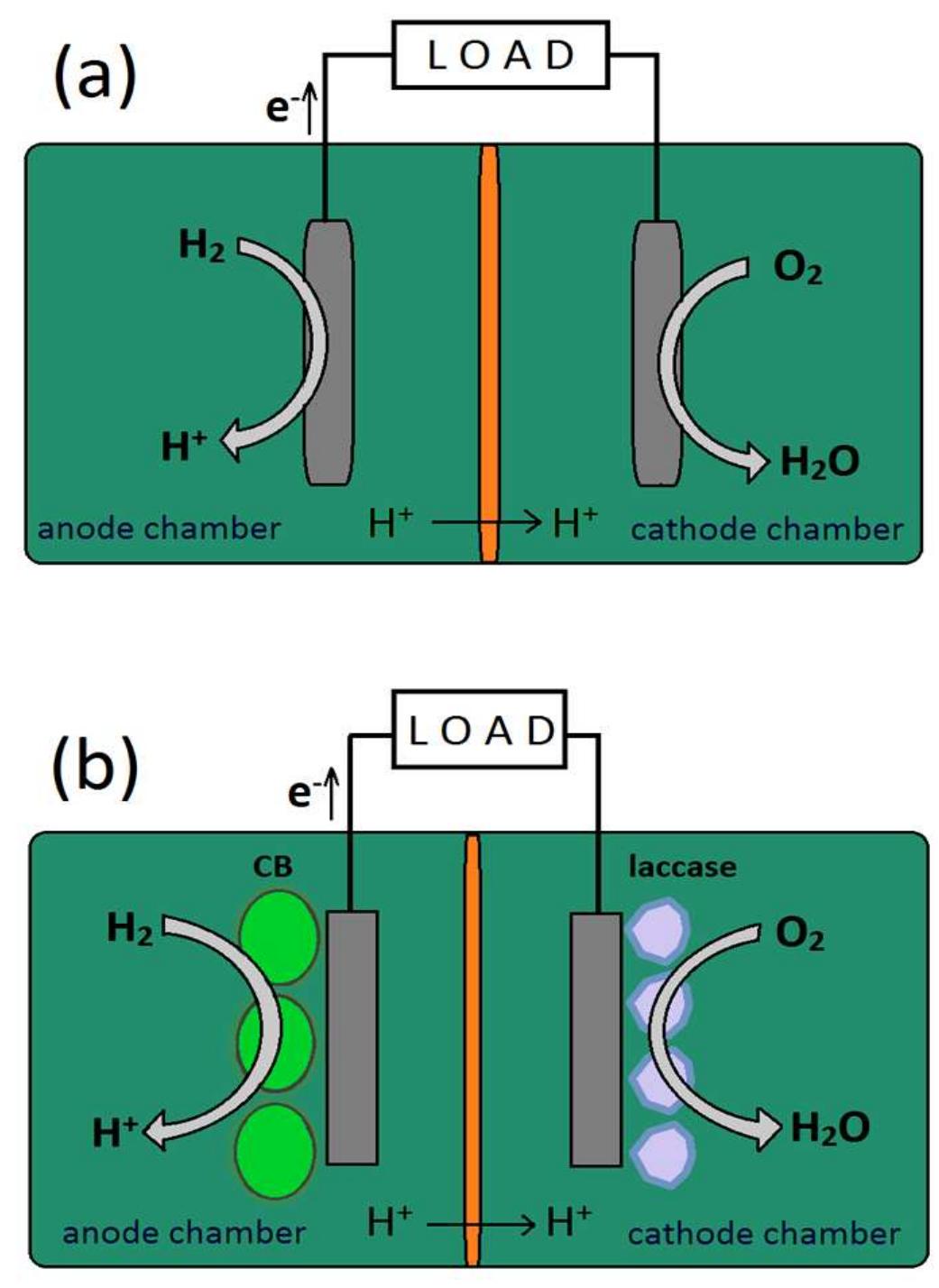 Schematic representation of the different forms of fuel