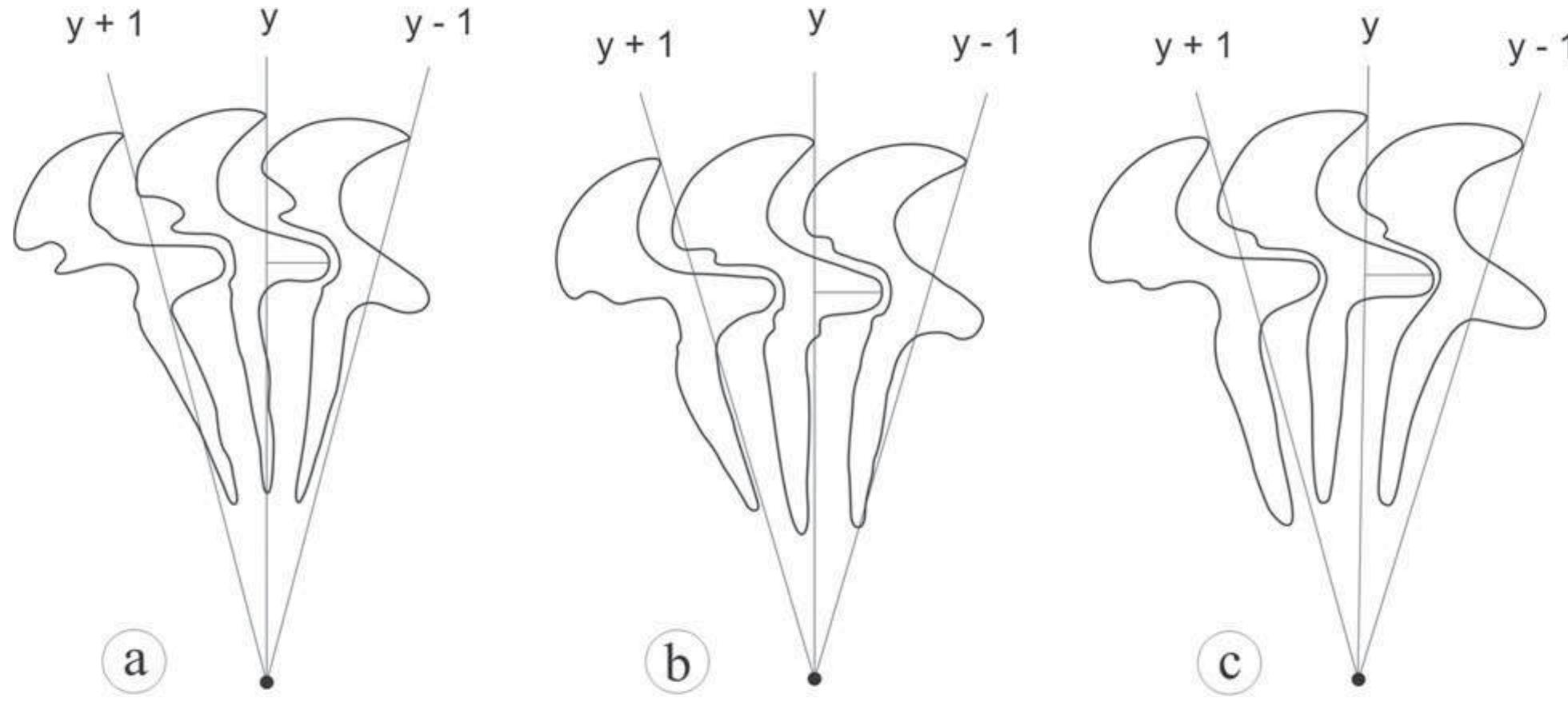 Schematic drawing of the denticles of trichodina