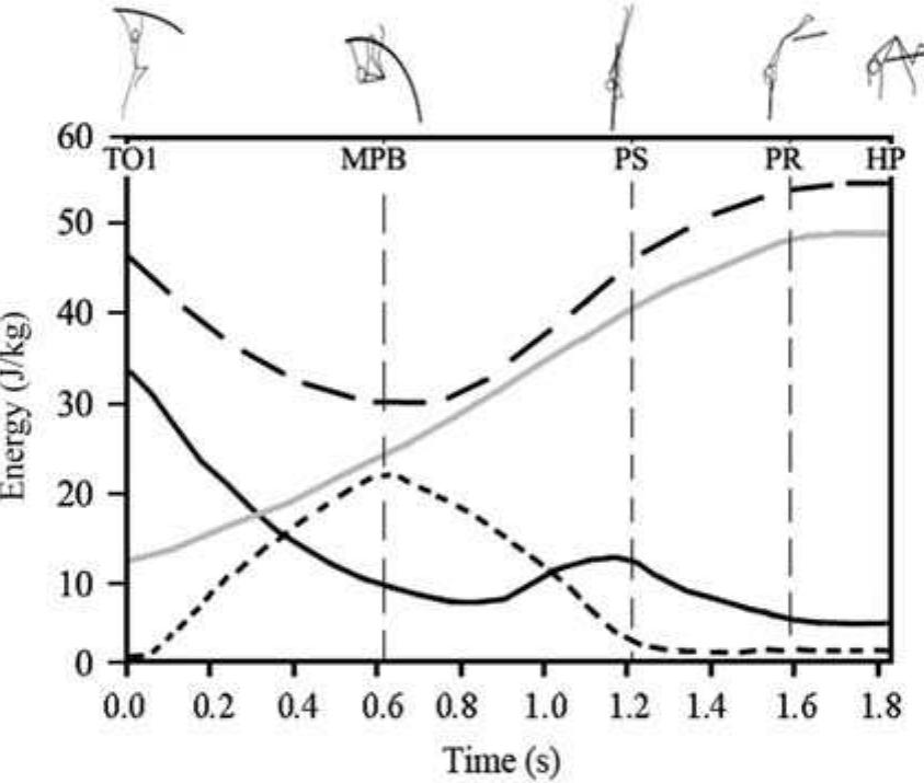 Typical curves of kinetic energy (black line), potential