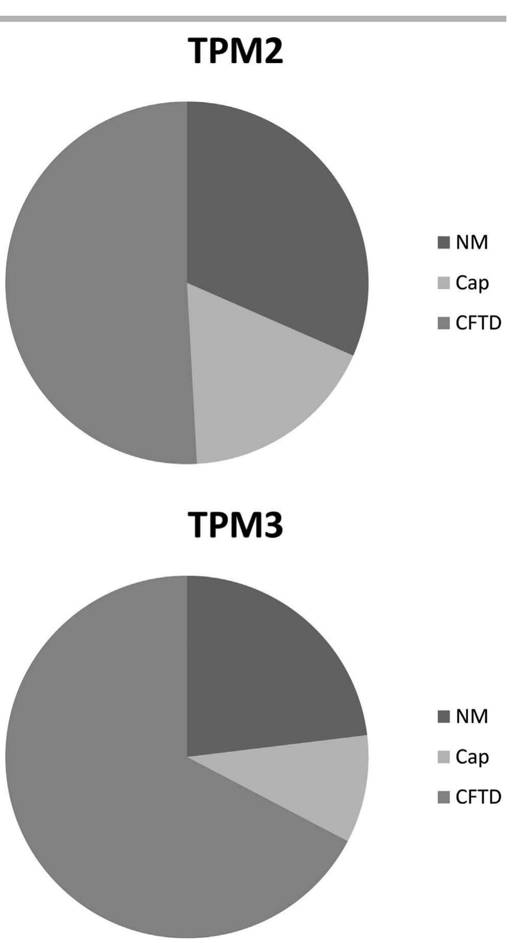 A pie chart showing histopathological characteristics in