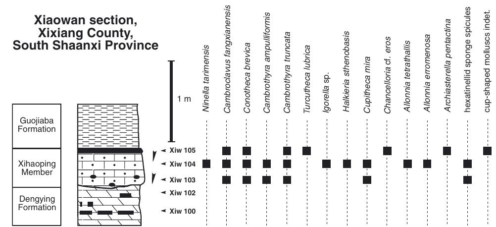 Stratigraphic column of the xihaoping member at xiaowan,