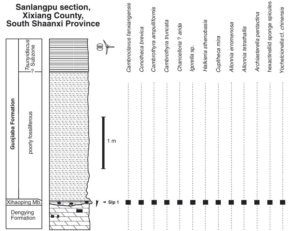 Stratigraphic column of the xihaoping member at sanlangpu,