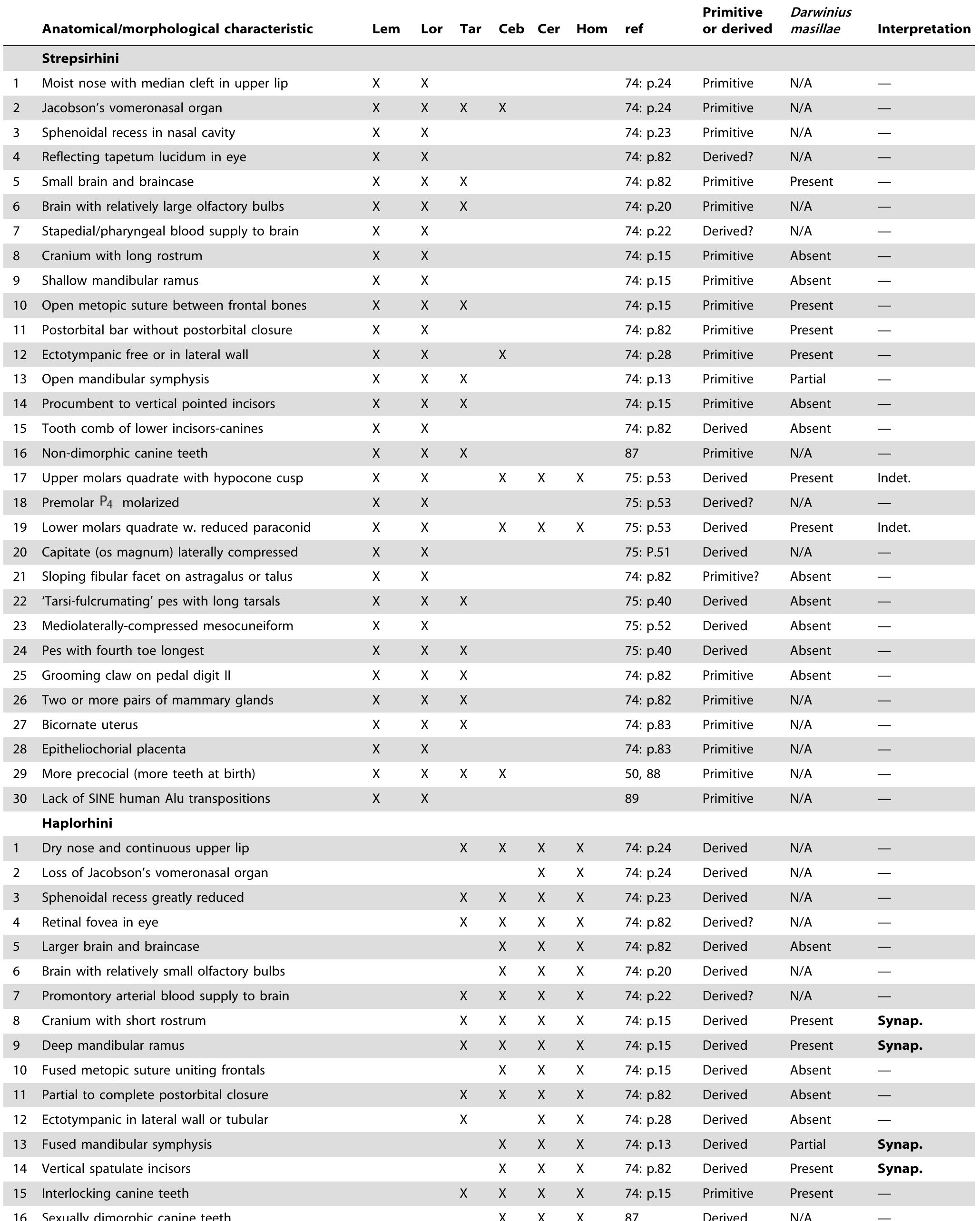 Table 3 - from Complete Primate Skeleton from the Middle