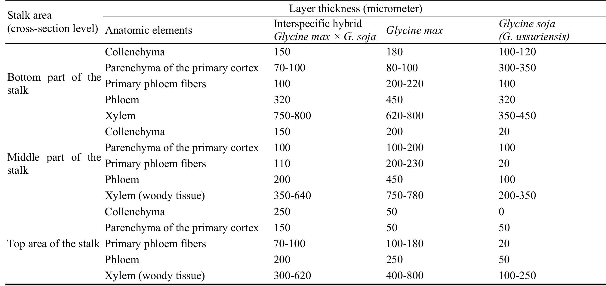 Development of the basic anatomic elements in the structure