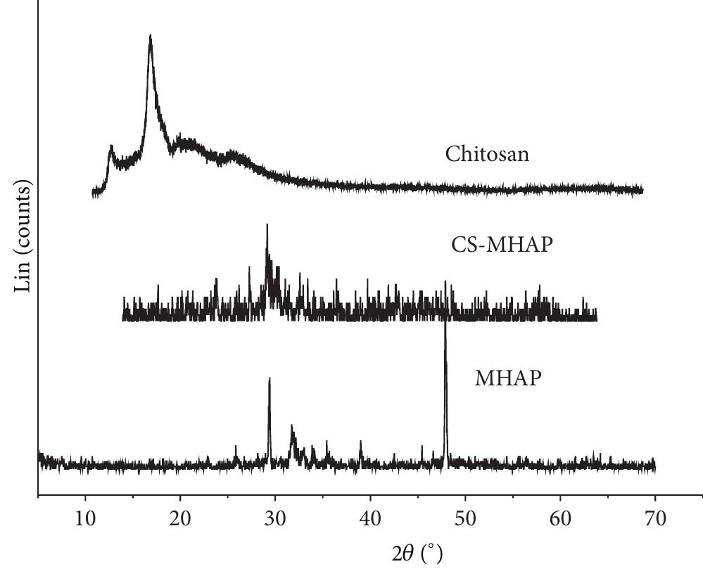 X Ray Diffraction Xrd Pattern Of Prepared Materials