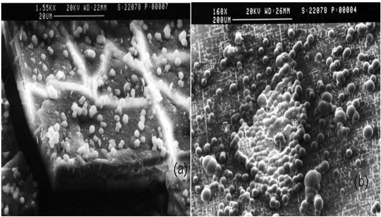 Sem micrograph of (a) gallium doped (b) indium doped glass