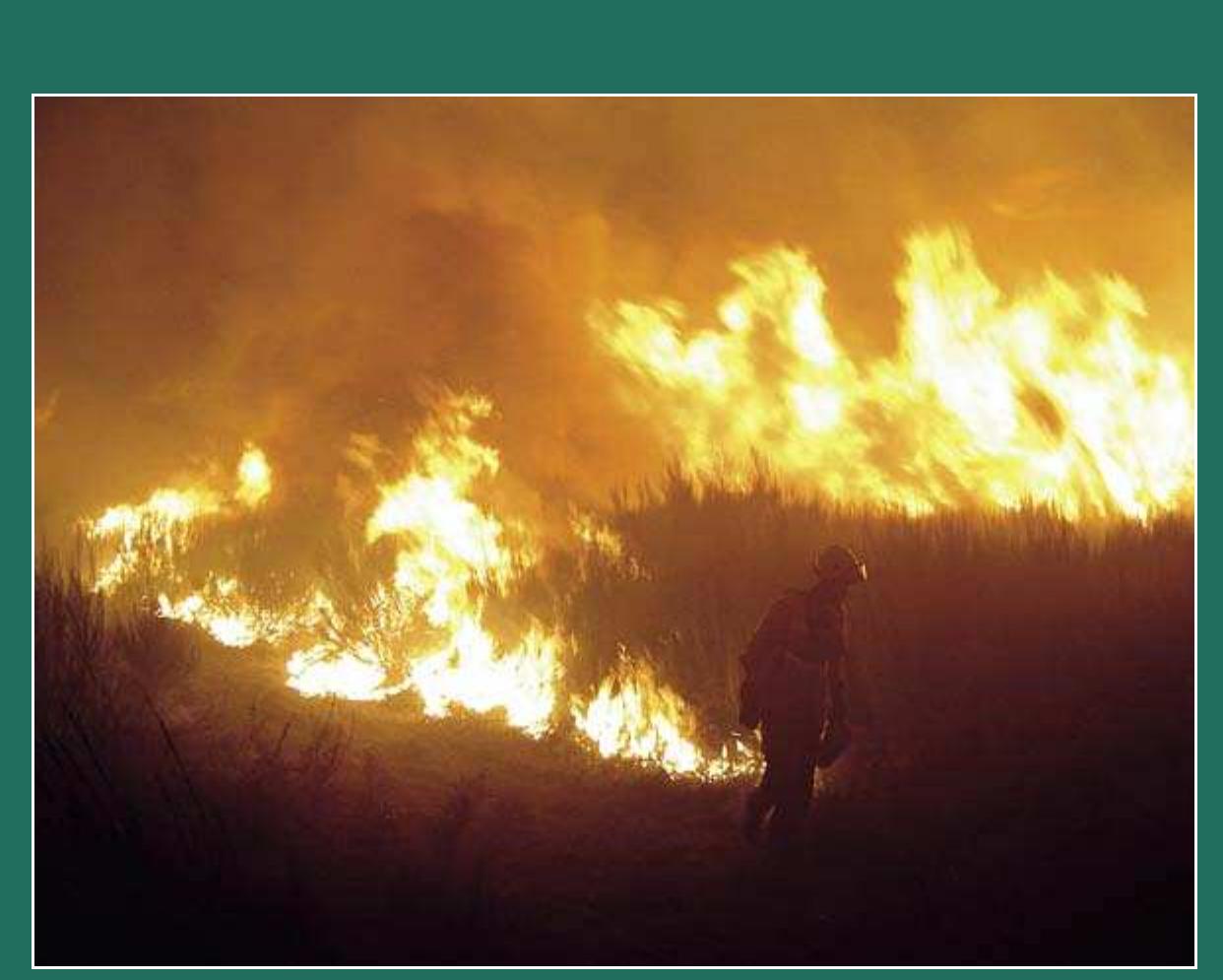 Figure 1 - Towards Integrated Fire Management