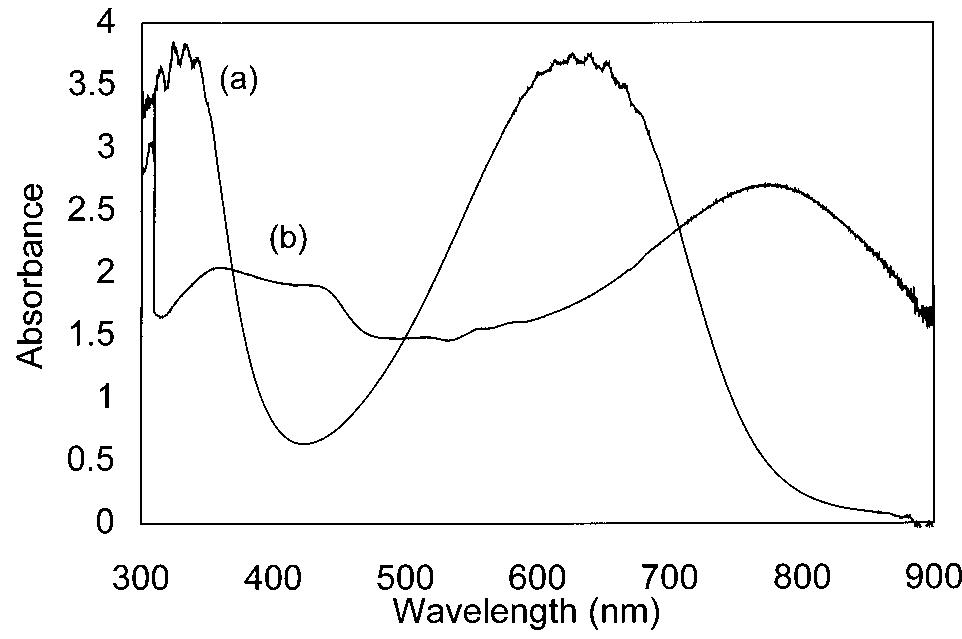 Uv-vis spectra of (a) pani (1.6 mg/ml) and agotfin