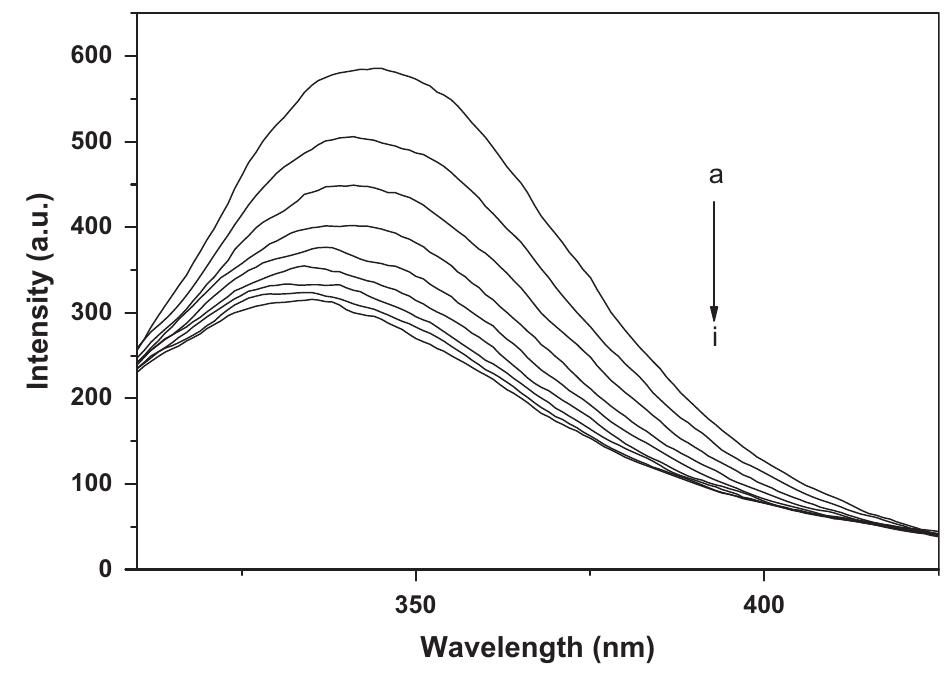 Fluorescence quenching spectra of bsa in the absence (a) and