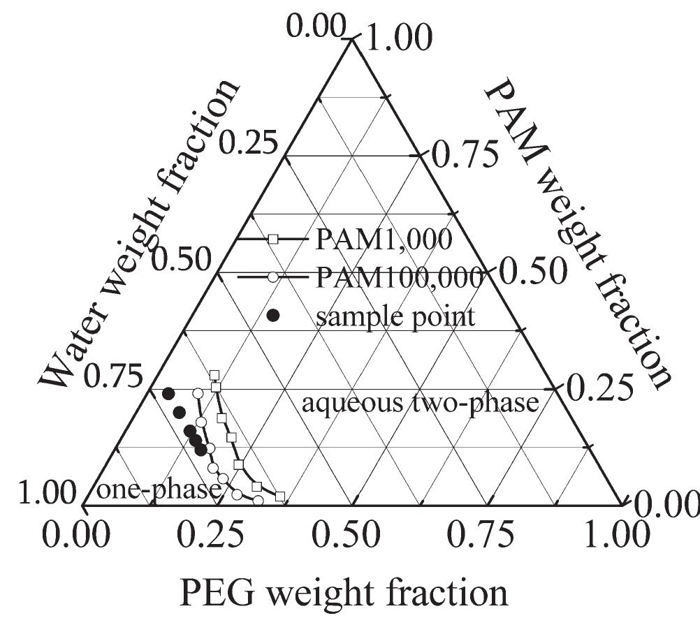 Phase diagram for the pam/peg/water system.