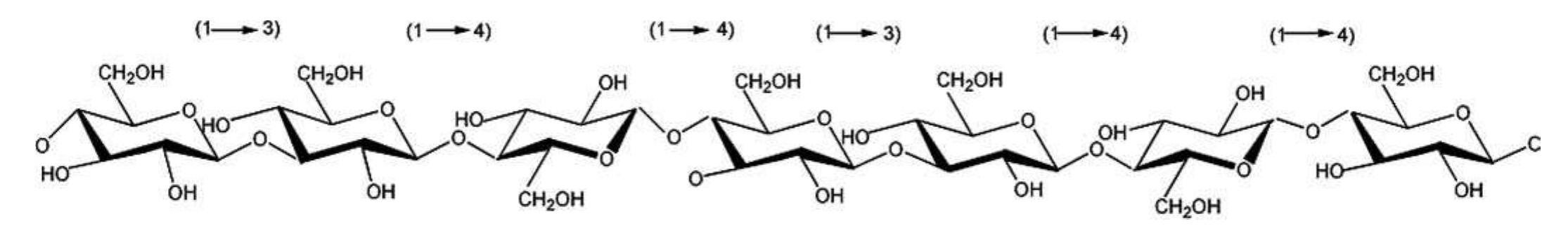 Mixed-linked £-glucans (fincher and stone, 1986).