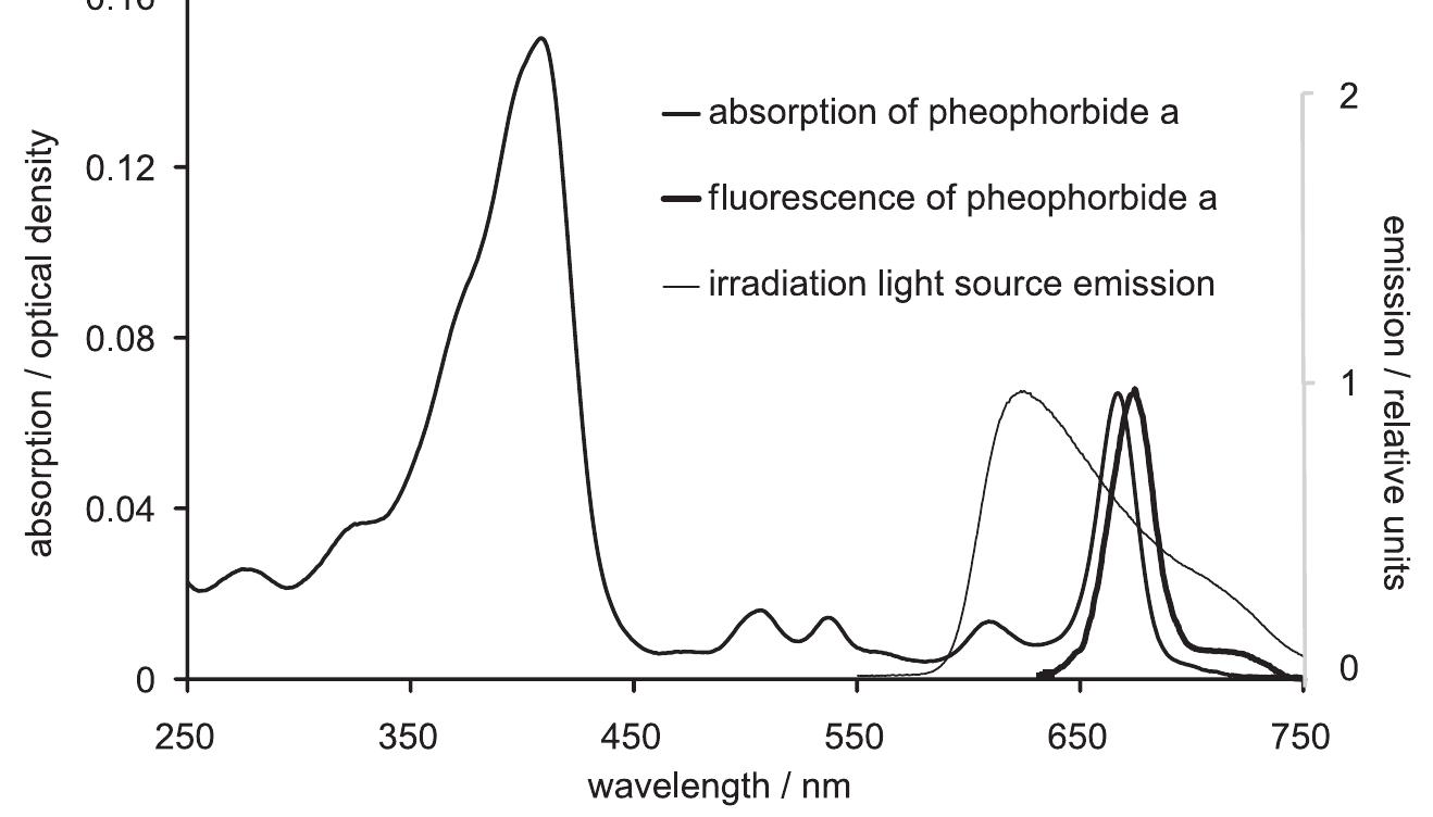 Absorption and fluorescence spectra of pheophorbid a in