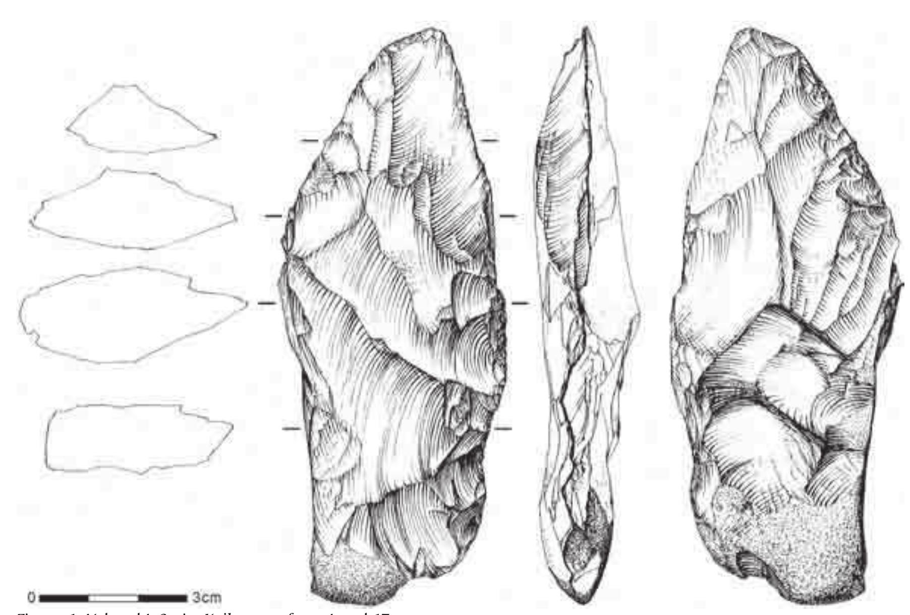 unifacial tool forms, which are far less uniform in nature