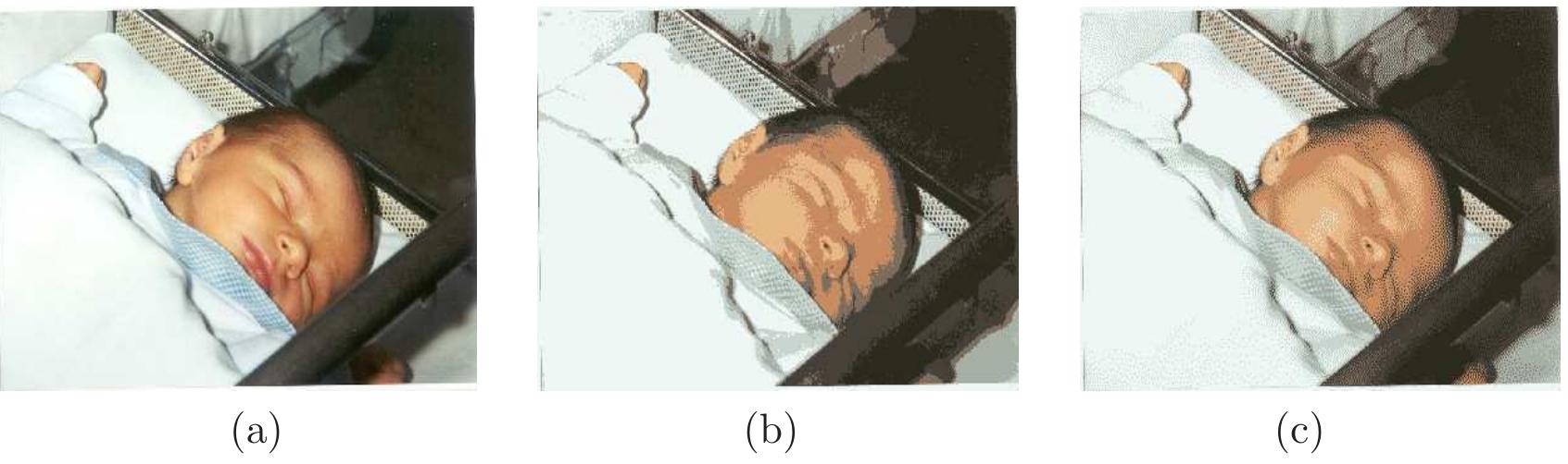 11: the original image (a), the quantized one with 8 colors