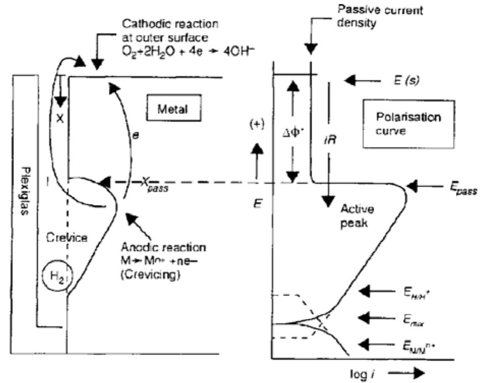 L: mechanism of active and passive corrosion and its