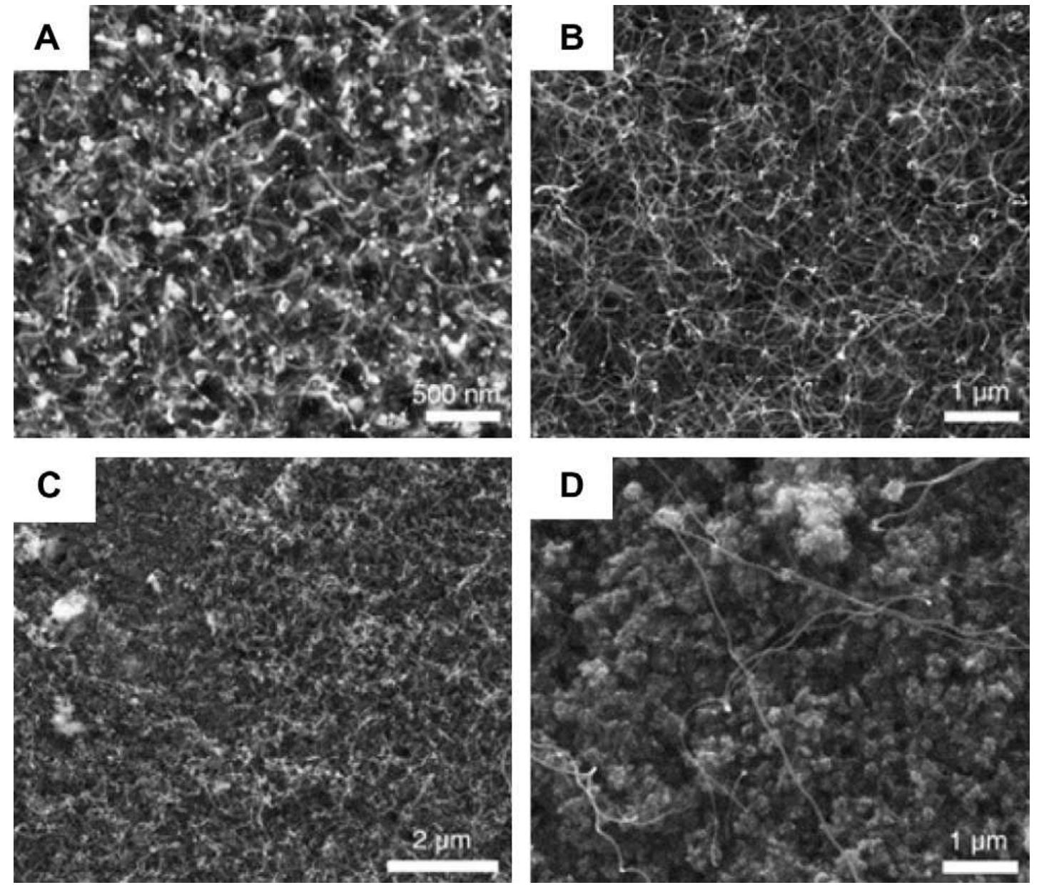 Changes in the carbon nanofibers morphology with respect to