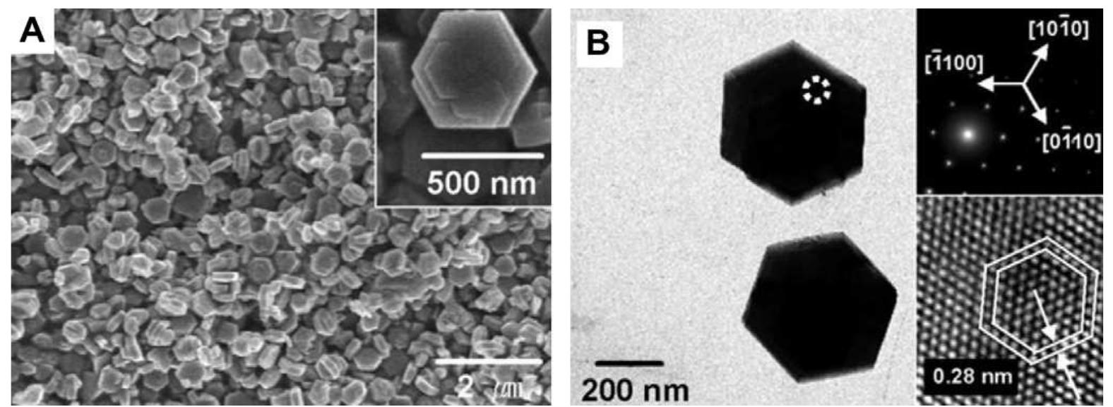 (a) sem and (b) tem images of zno nanodisks. reprinted from