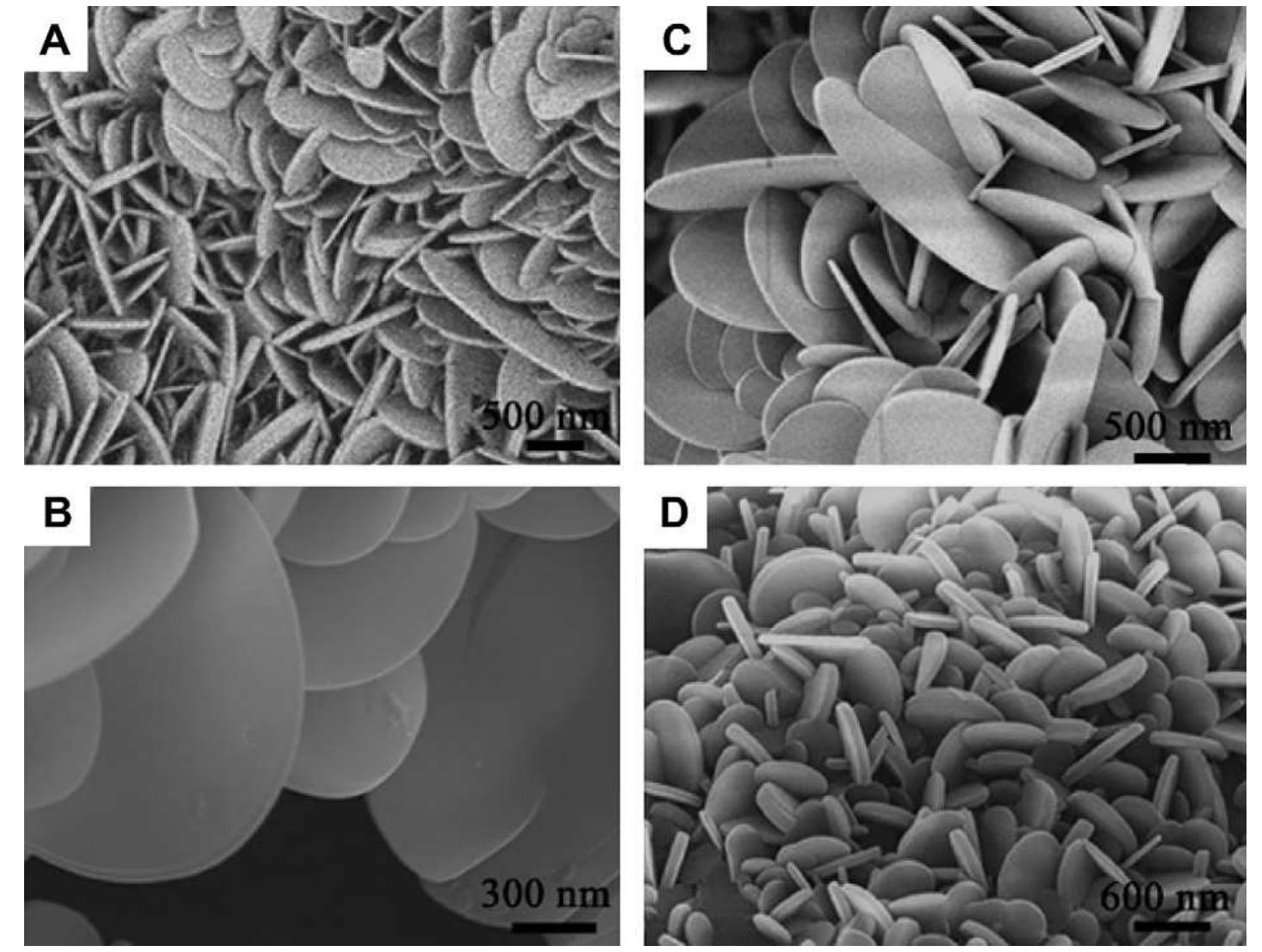 Plan-view sem images of 2d boron nitride nanosheets grown at