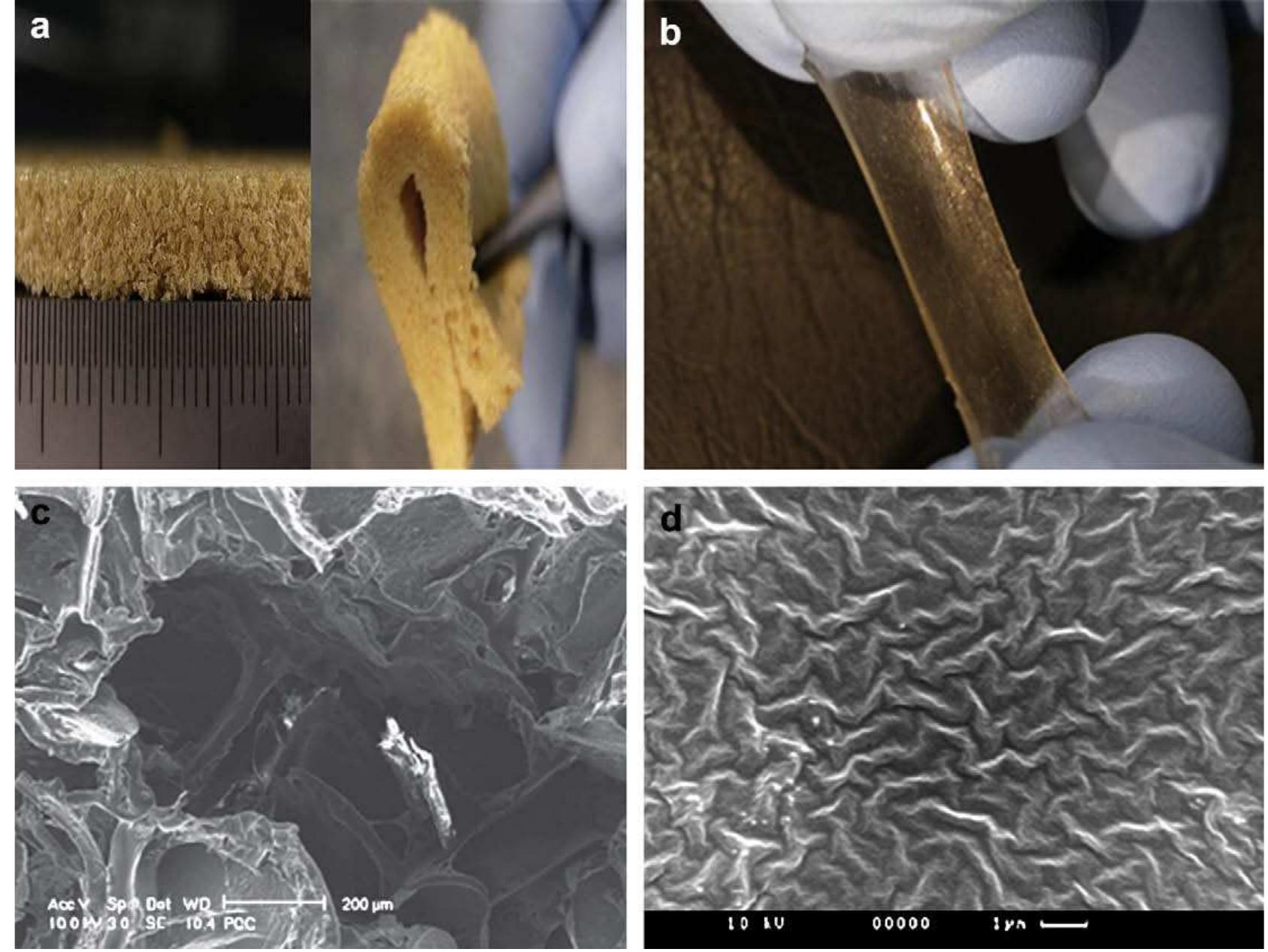 Photographs and sem images of representative p(o;c,so)