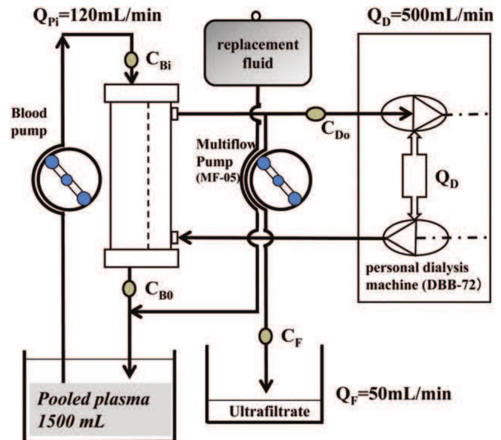 A diagram of the extracorporeal renal replacement circuit is