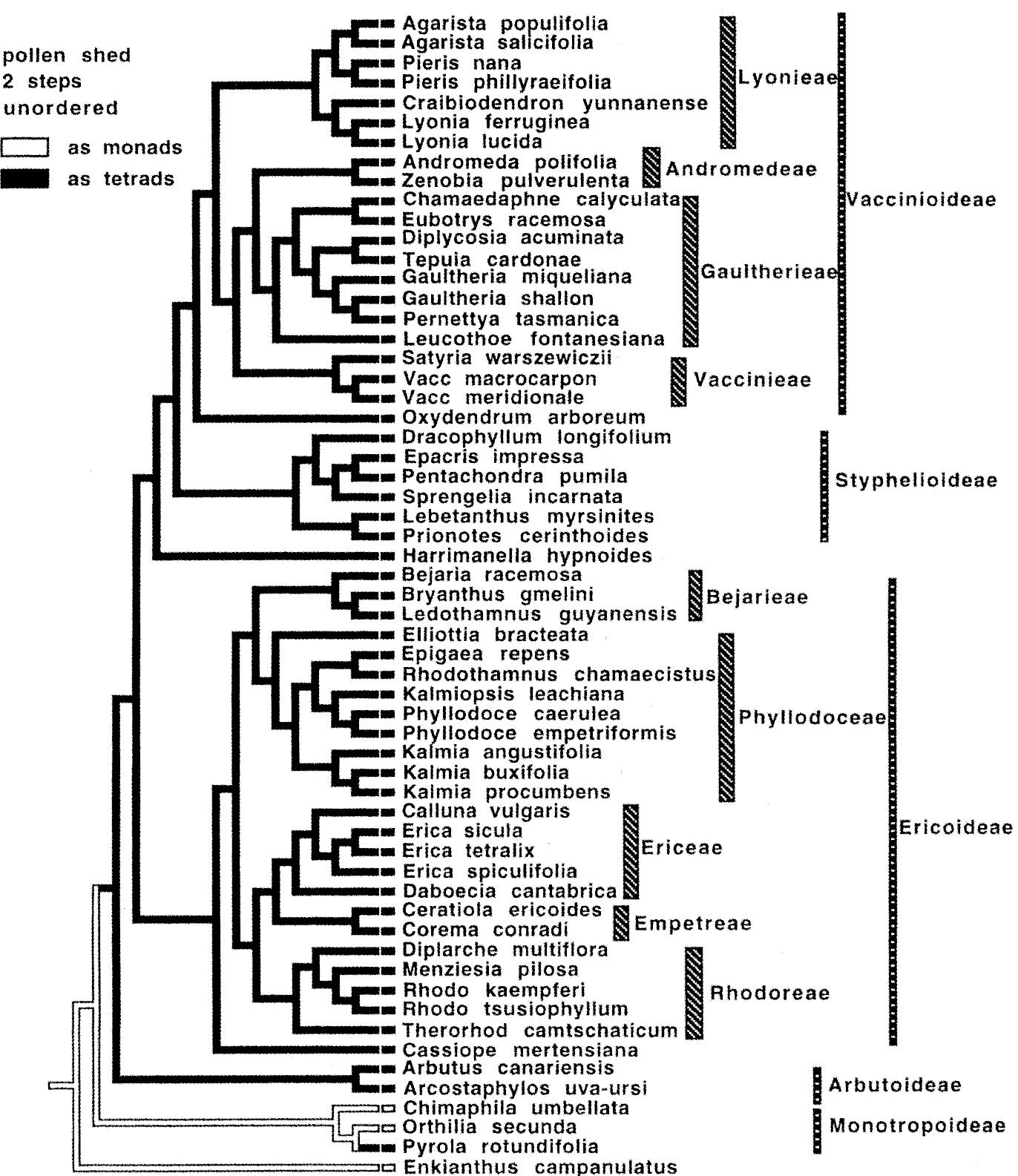 Character state distribution for condition of pollen when