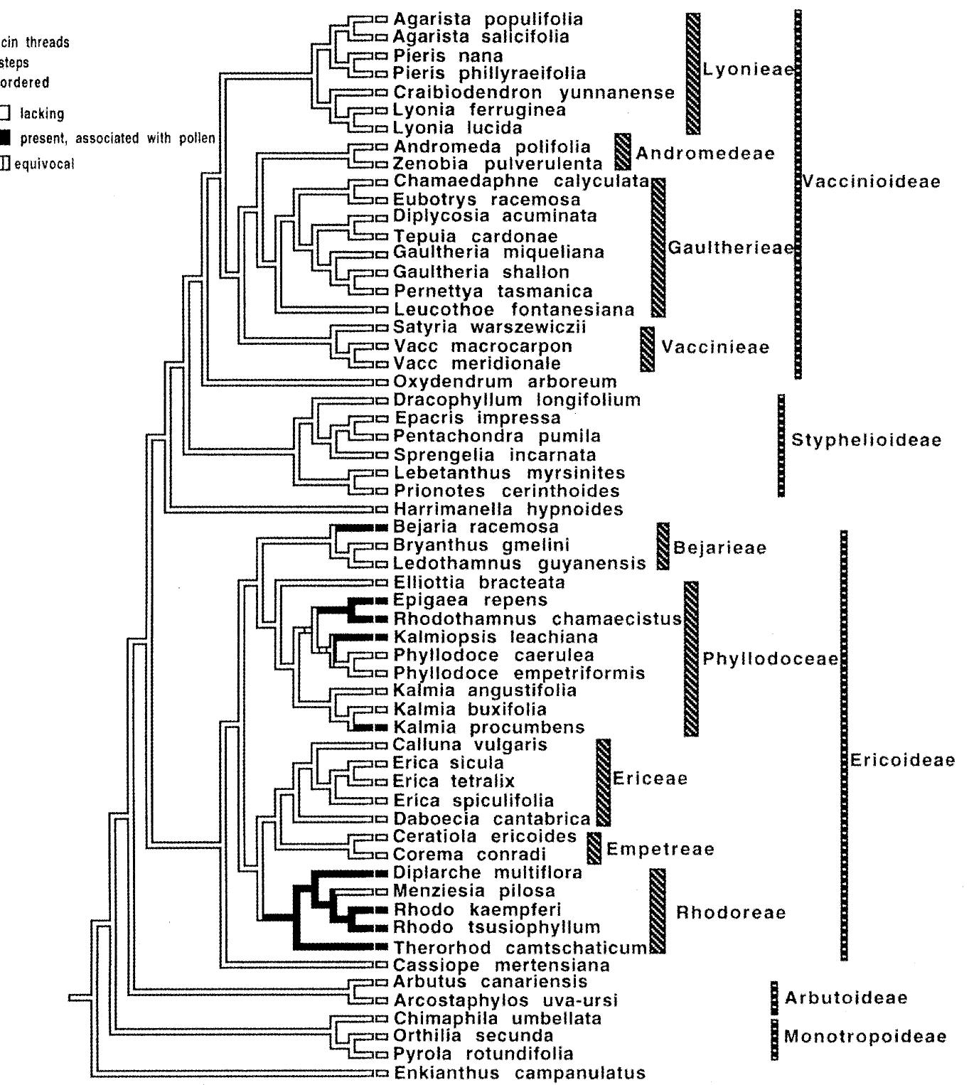 Character state distribution for presence or absence of