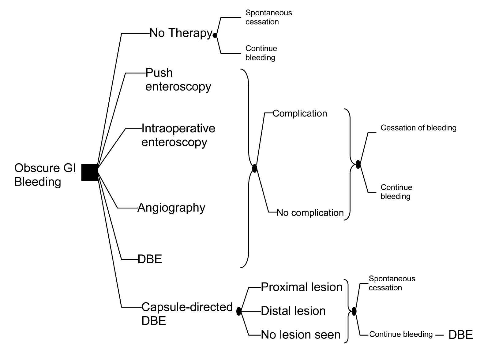 The model schema. patients with small-intestinal bleeding