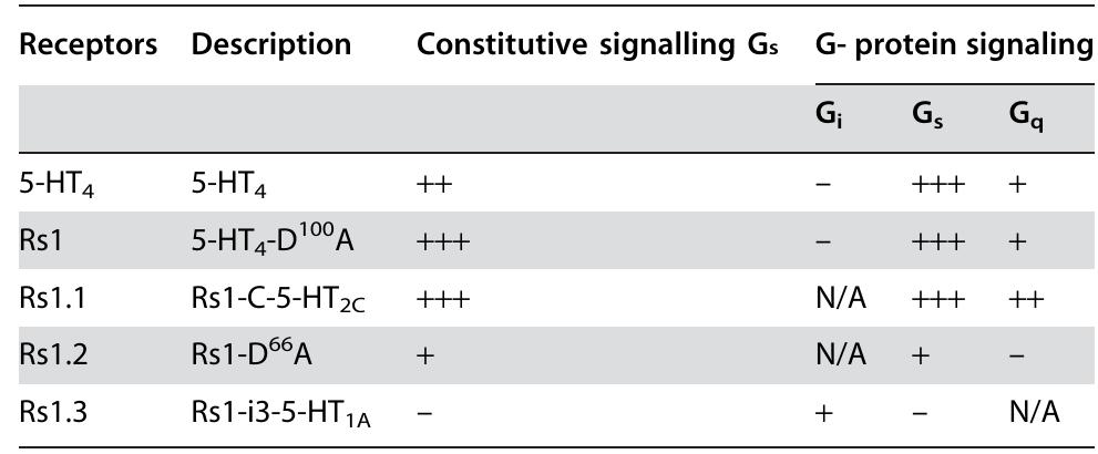 Constitutive signaling and ligand-induced signaling of rs1