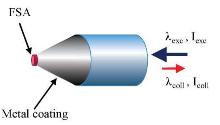 Schematic of a functionalised sensor based on light