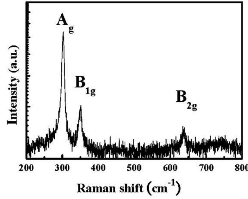 Room temperature raman spectra of the cuo nanowires. fig.