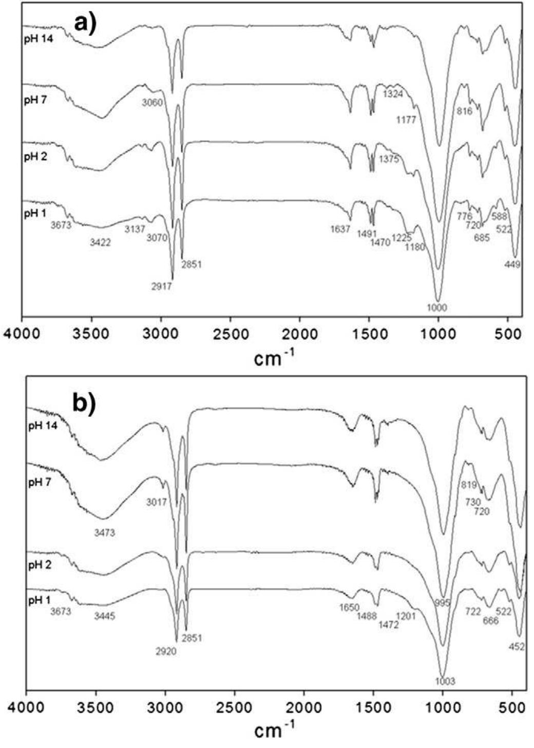 The ftir spectra of modified vermiculites treated with the