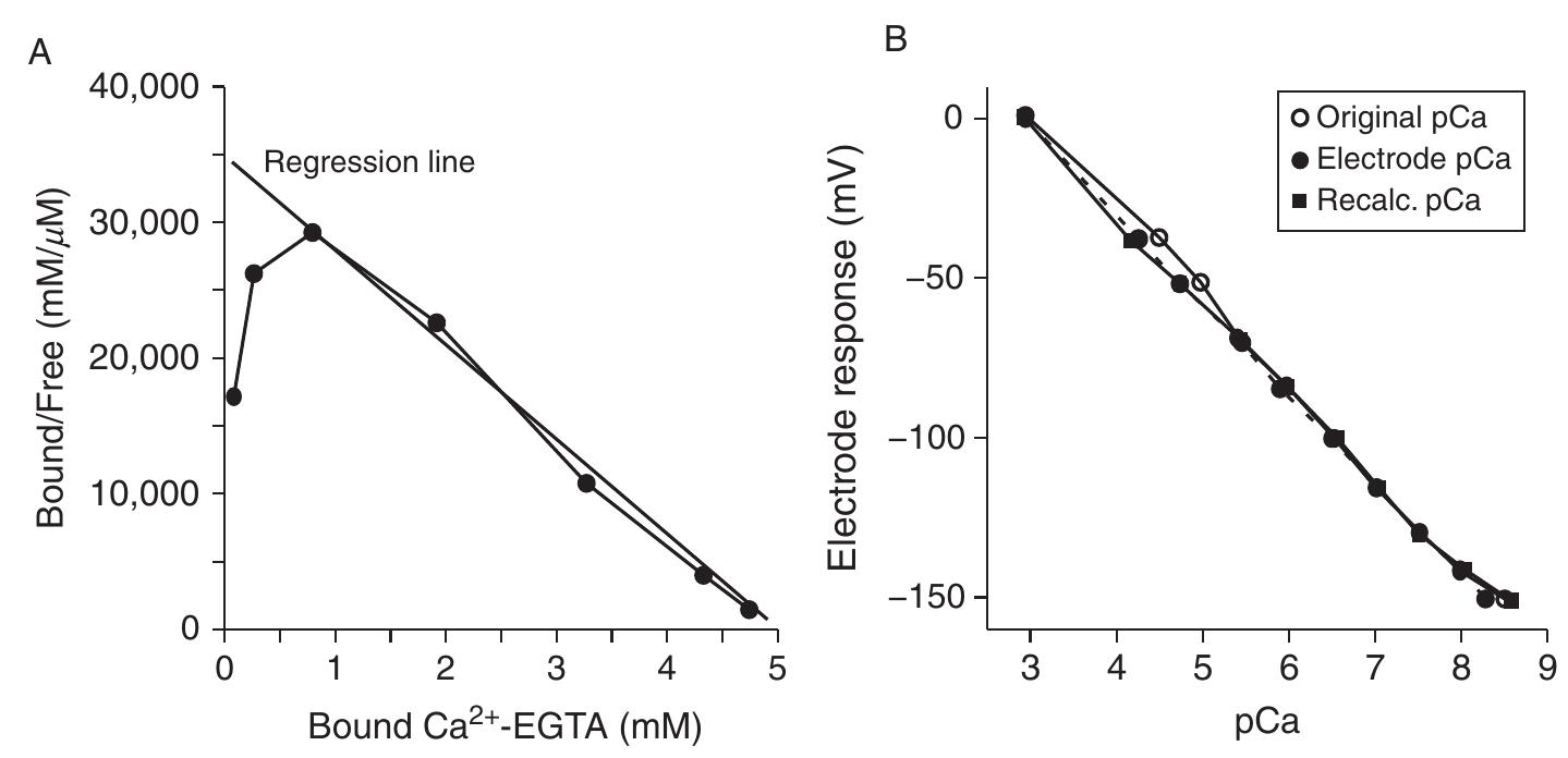 Scatchard plot (a) and electrode calibration curves (b) for