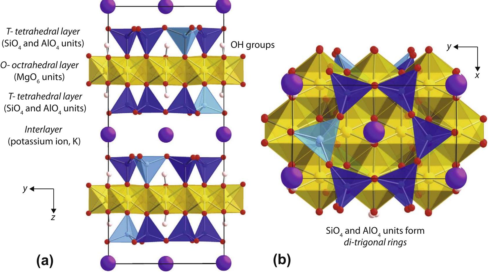 Crystal structure of phlogopite with c2/m space group