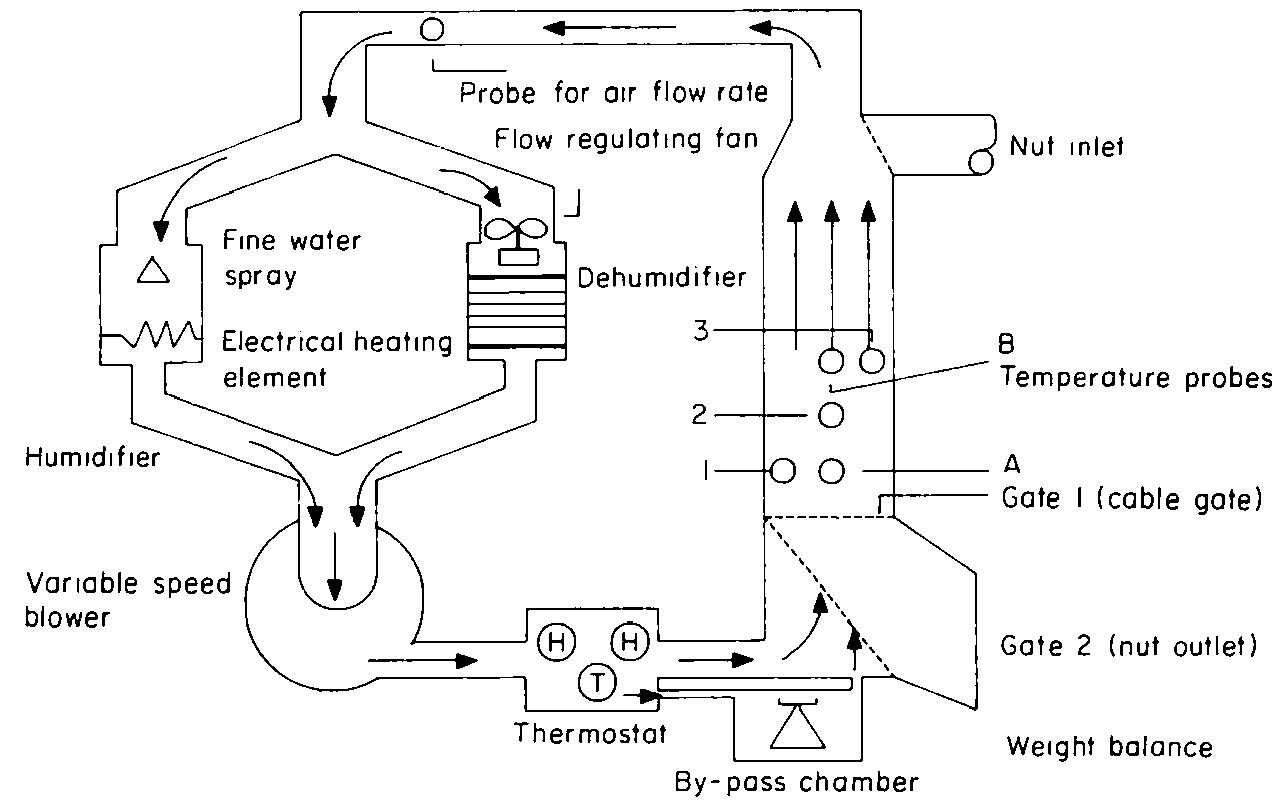 Schematic drawing of the curing system for evaluating the