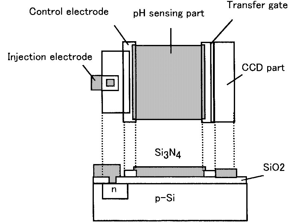 Schematic diagram of a ph sensing pixel. a sensing pixel has