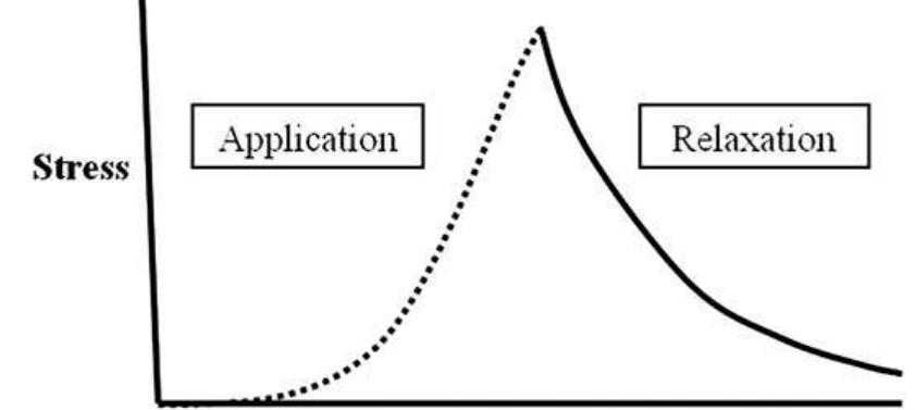 Figure 4 - Positioning, splinting, and contracture