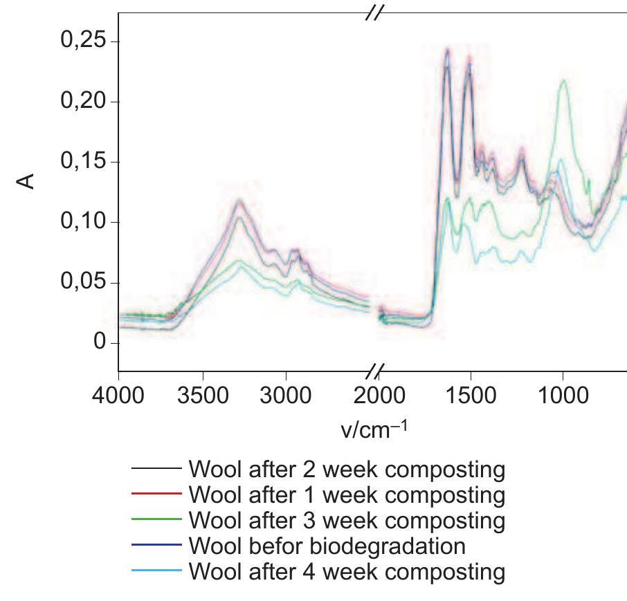 Ft-ir spectra of biodegraded wool samples start to degrade