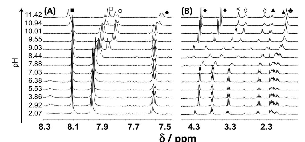 The ph-dependent 'h nmr spectra of the ligand (figure 3)