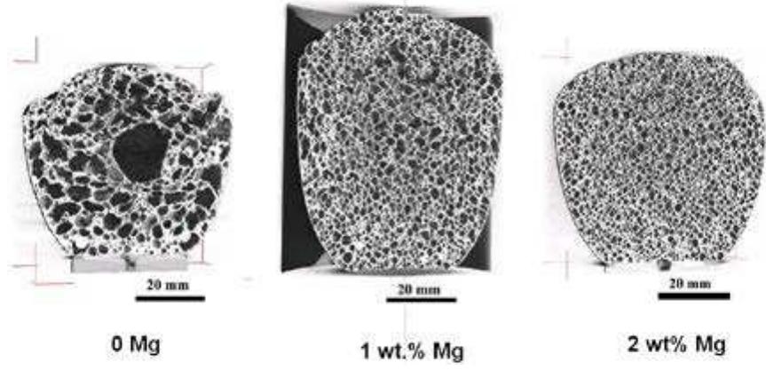 X-ray tomography cross-sections of foams produced by foaming