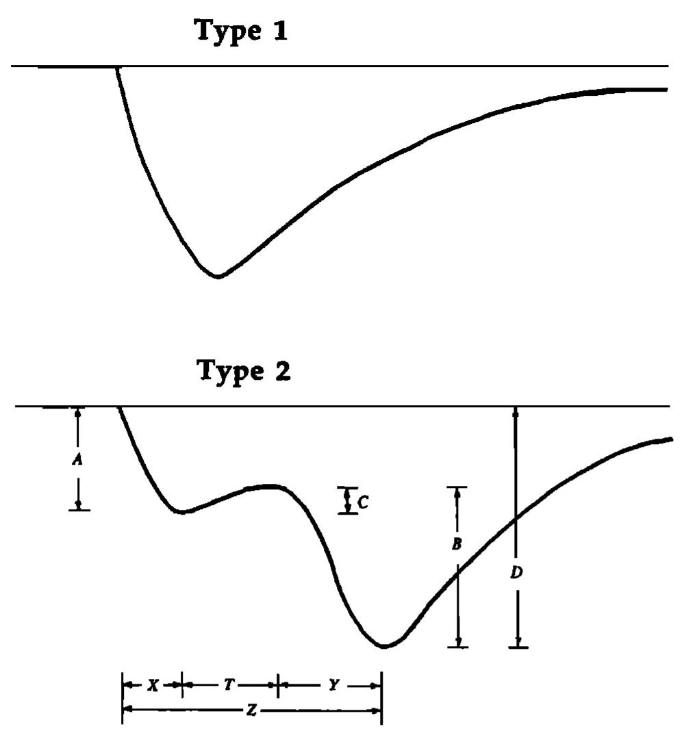 Schematic representation of dst for type 1 and type 2
