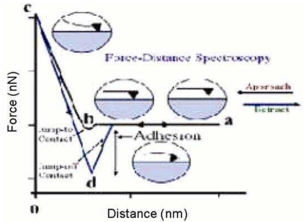 Schematic of force distance spectroscopy showing two major