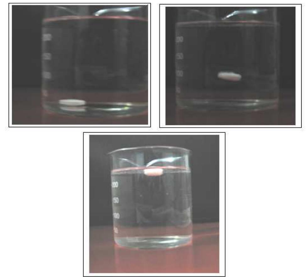 Stepwise floating of formulation f5 fig. 1b: ftir spectra of