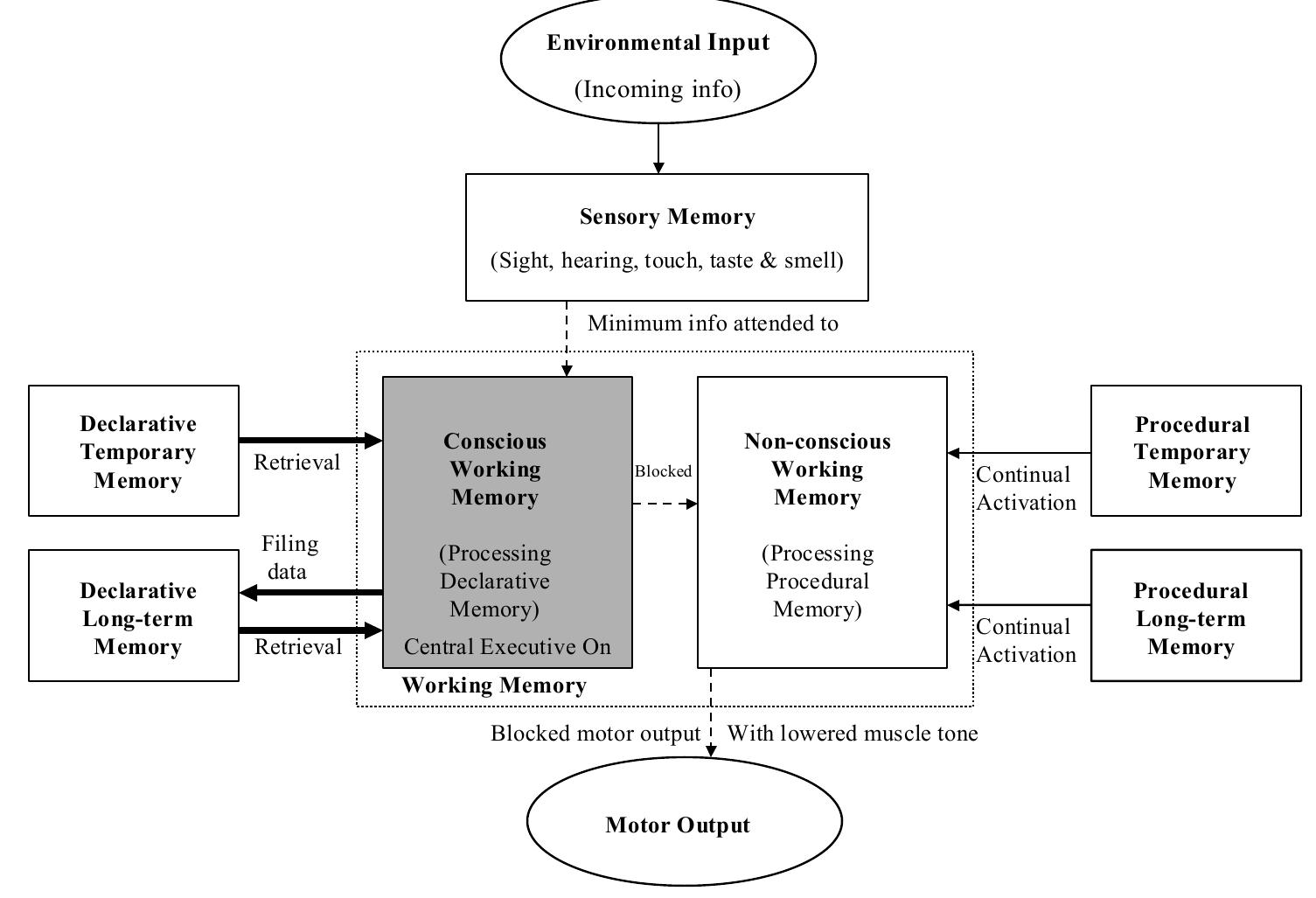 Memory model for the sleeping brain (nrem). stores. this