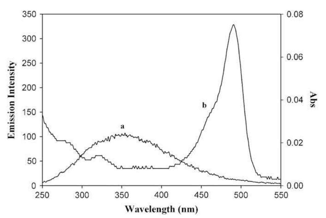 The overlap of the fluorescence spectrum of bsa (a) and the