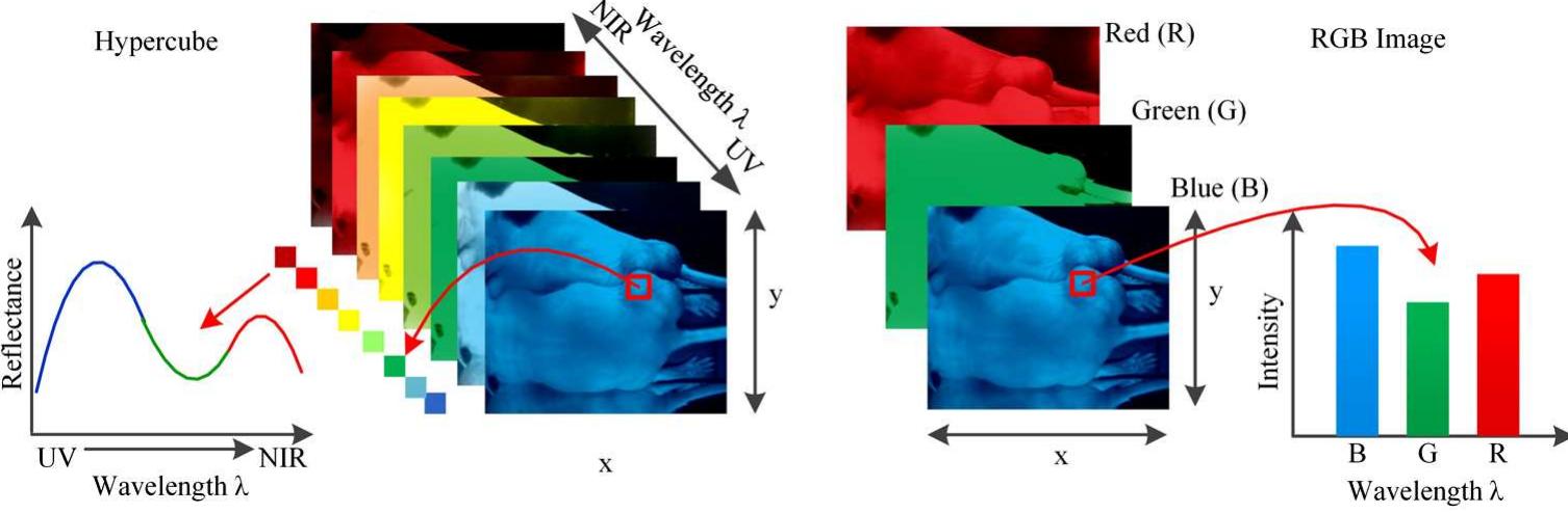 Comparison between hypercube and rgb image. hypercube is